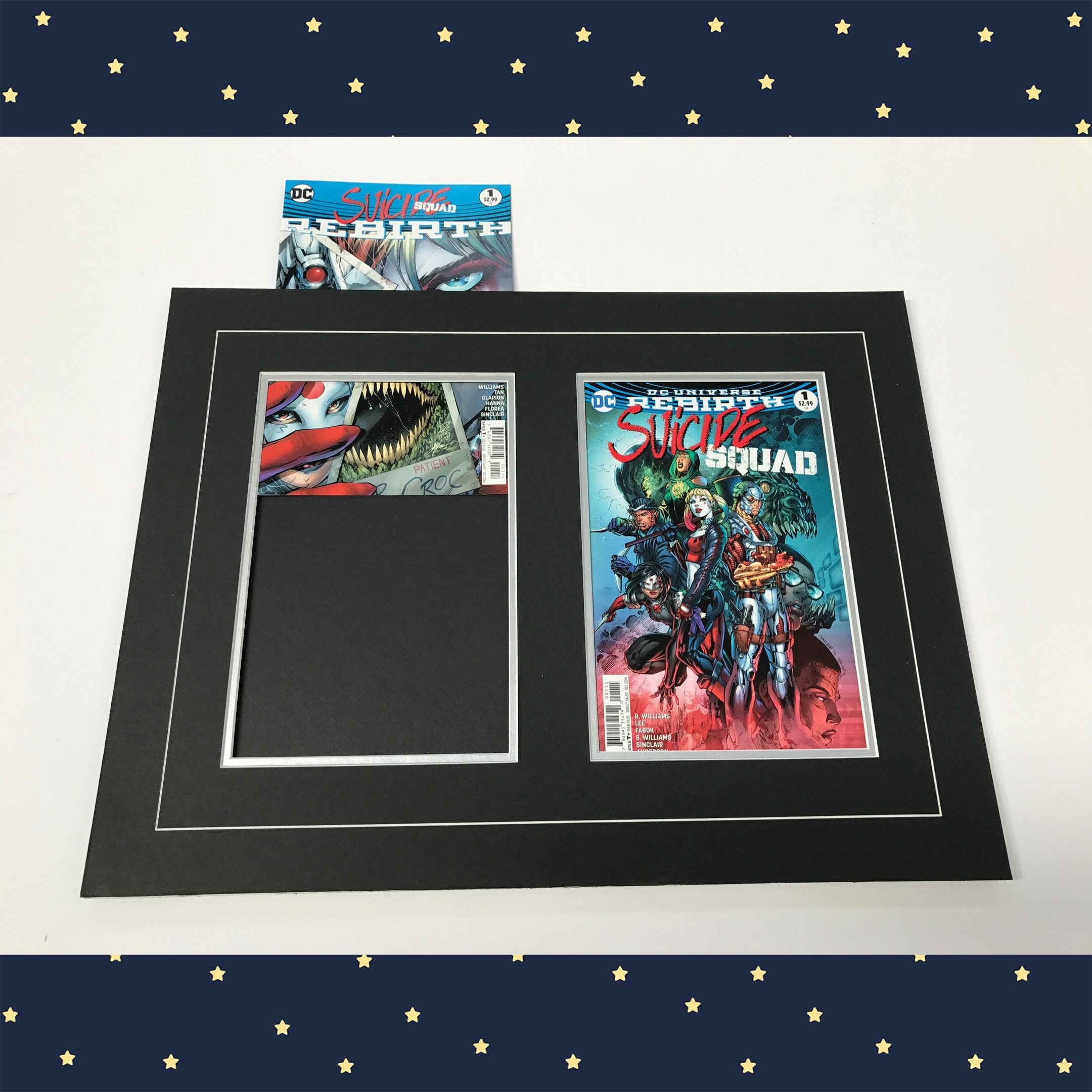 Changeable Double Comic Display Frame. Safe Secure Way to Display ...