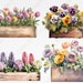 Watercolour Spring Planters Clipart Bundle, 18 Transparent PNG Images ...