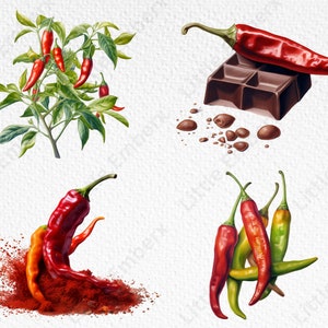 Chillies Watercolour Clipart Bundle, 16 Transparent PNG 300 Dpi, Chilli ...