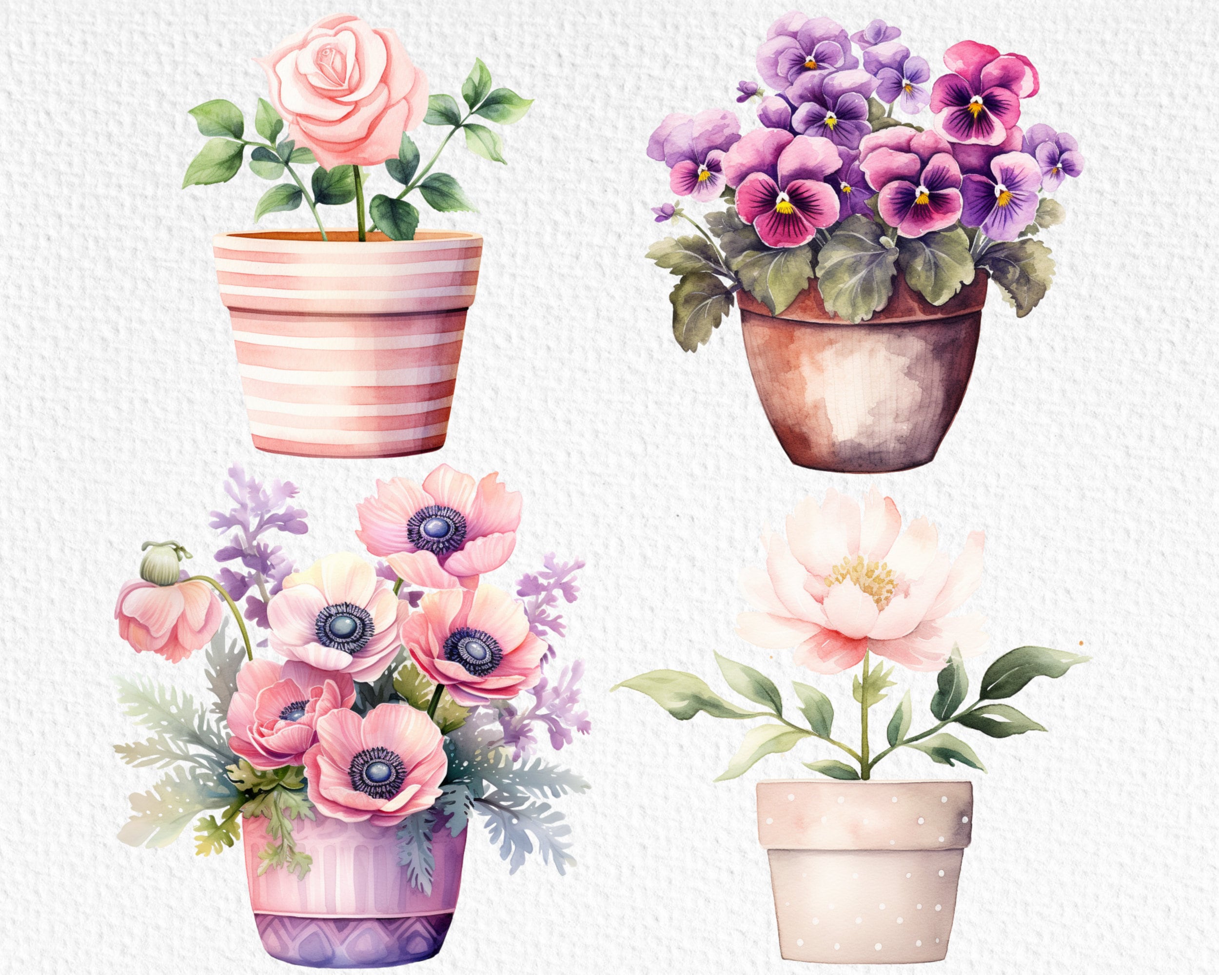Cute Flower Pots Watercolour Clipart, 20 Transparent PNG 300 Dpi ...