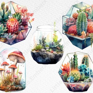 Watercolour Terrariums Clipart Bundle, 20 Transparent PNG 300 Dpi ...