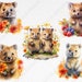 Watercolour Quokka Clipart Bundle, 18 Transparent Isolated PNG 300 Dpi ...