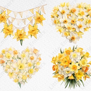 Daffodils Watercolour Clipart, 20 Transparent PNG 300 Dpi, Cute Spring ...