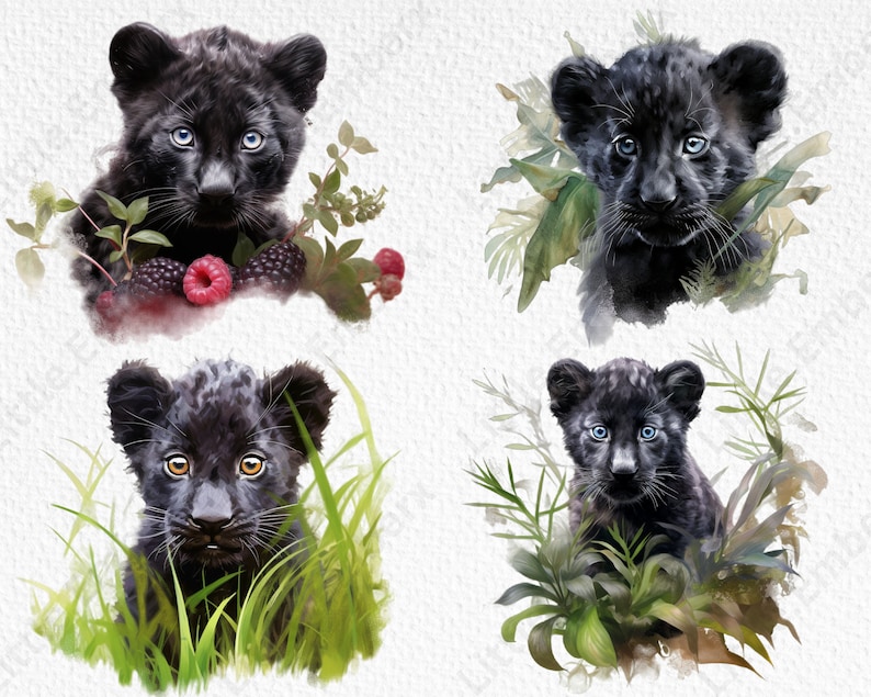 Watercolour Black Panthers Clipart Bundle, 18 Transparent Isolated PNG ...