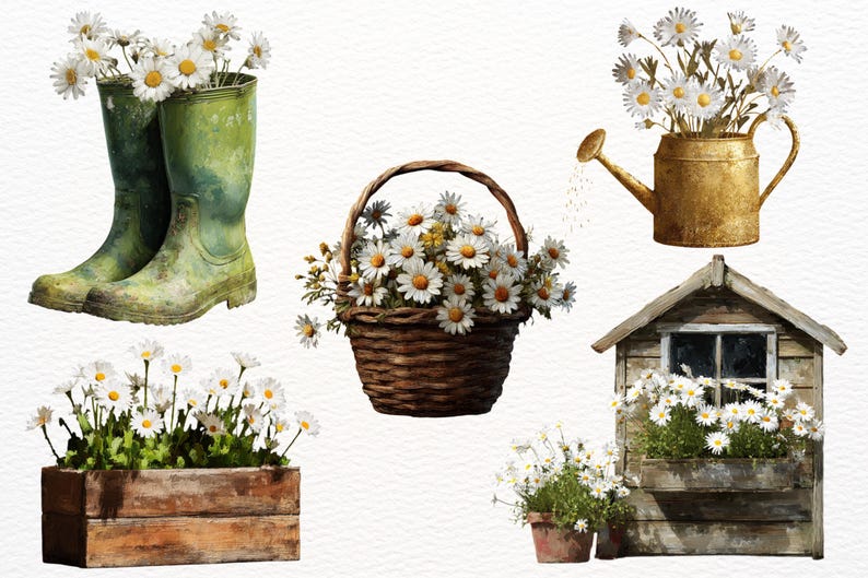 Daisies Clipart Bundle, 20 Transparent PNG, Watercolour Daisy Graphics ...