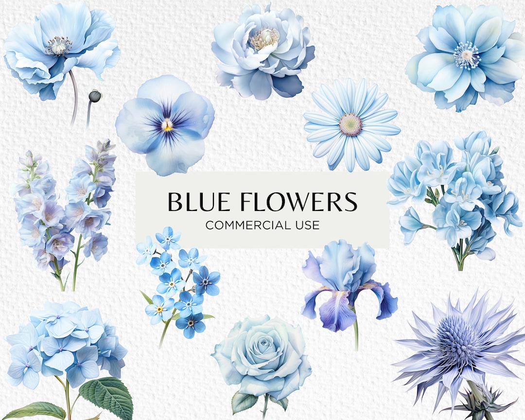 Blue Flowers Watercolour Clipart Bundle, 20 Transparent PNG 300 Dpi ...