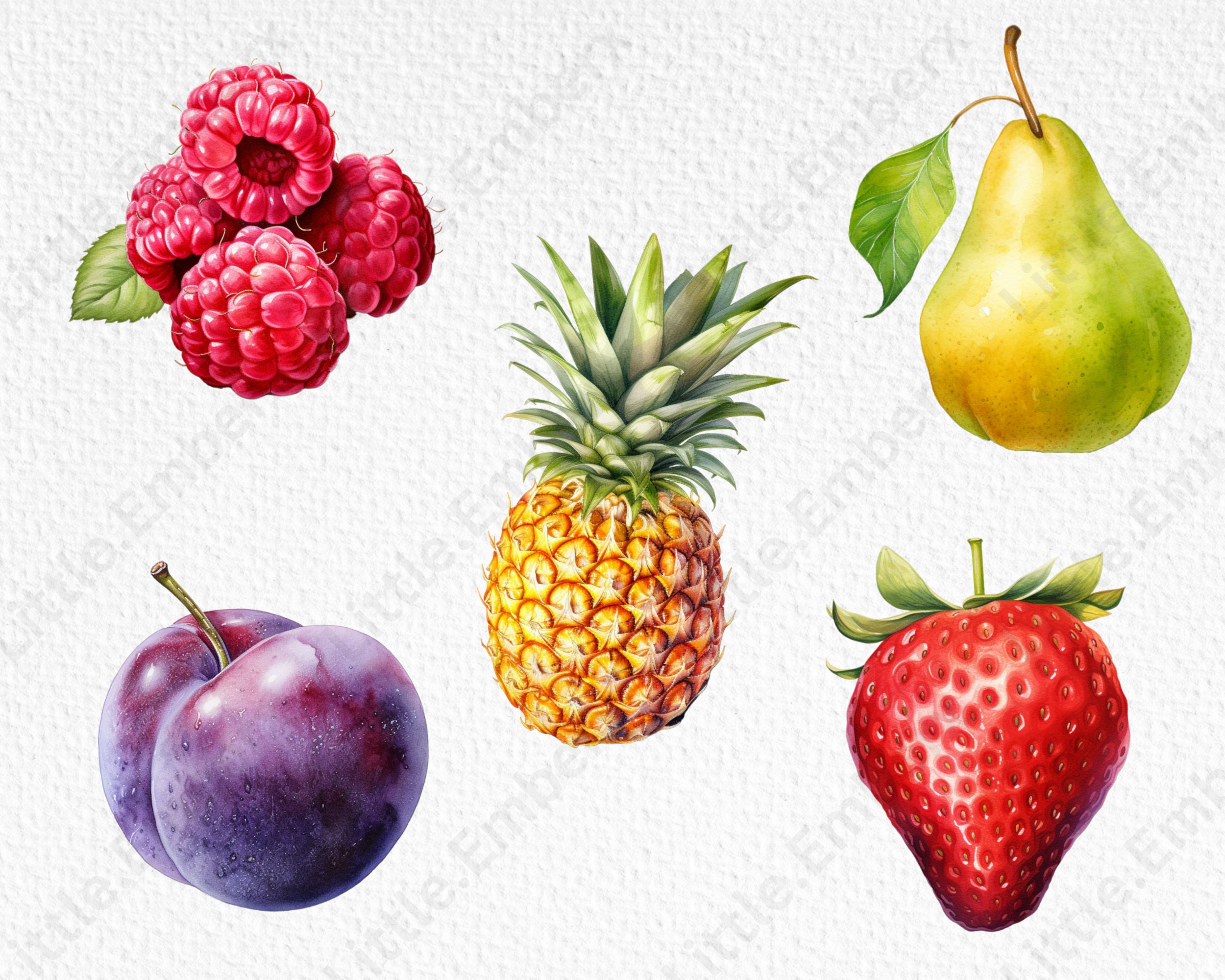 Fruit Watercolour Clipart Bundle, 20 Transparent PNG 300 Dpi, Cherries ...