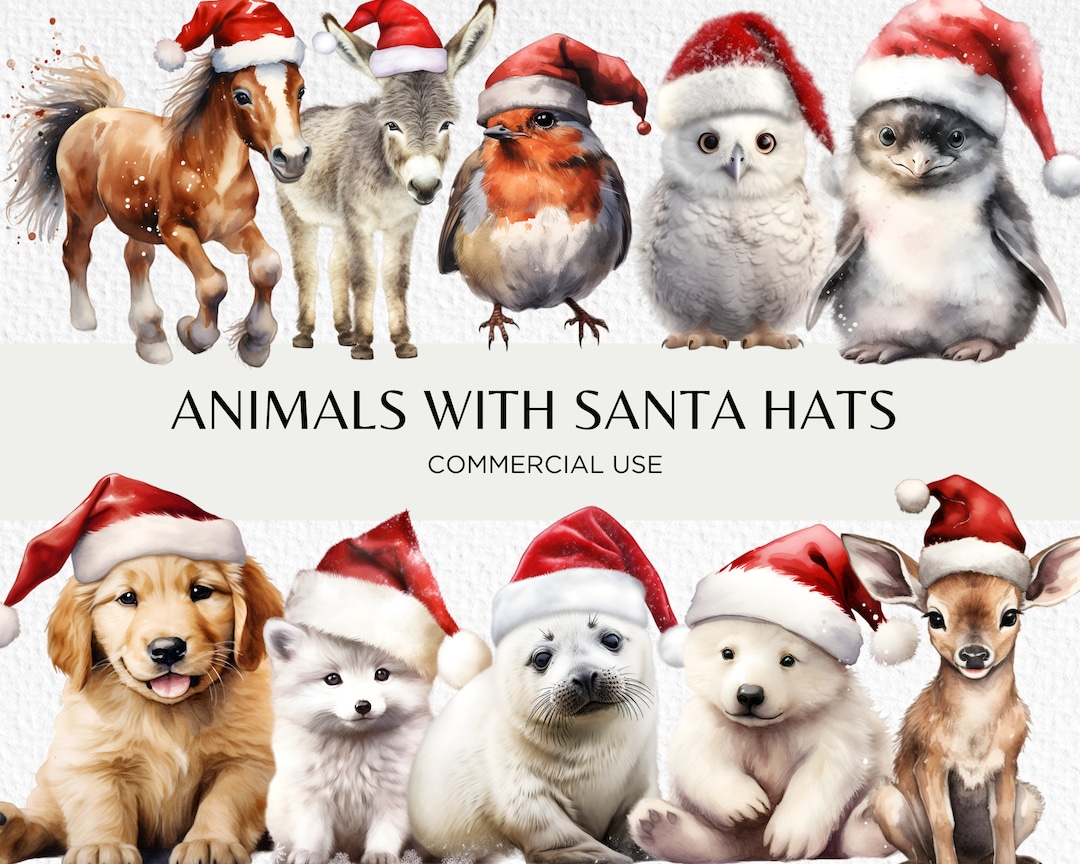 Christmas Animals Wearing Santa Hats Watercolour Clipart, 20 ...