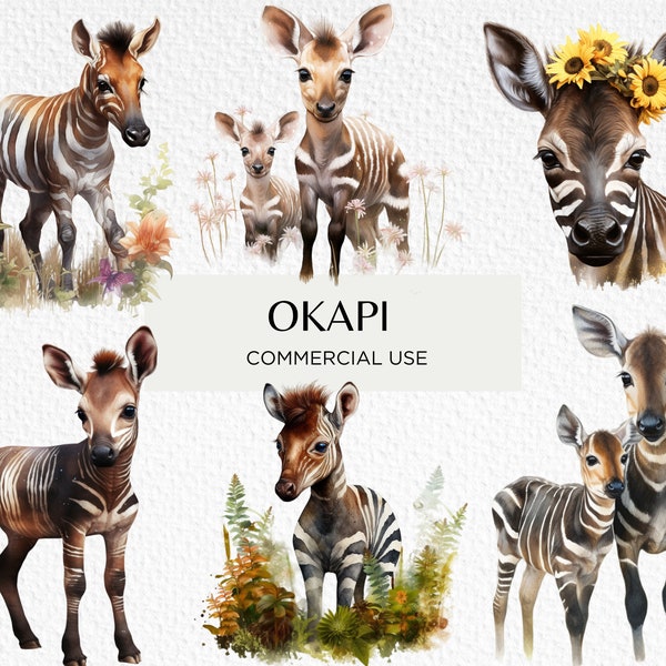 Okapi - Etsy