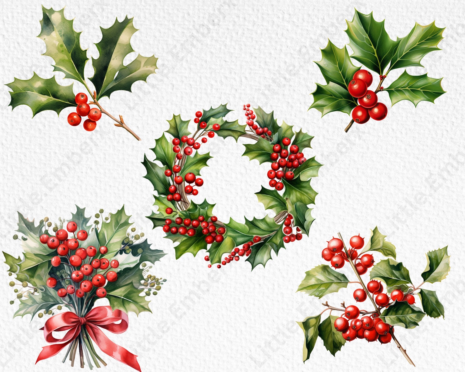 Holly Watercolour Clipart, 10 Transparent PNG 300 Dpi, Christmas ...
