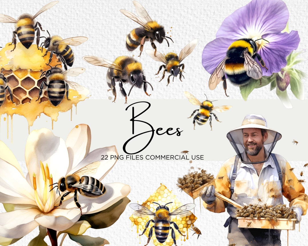 Bees Watercolour Clipart Bundle 22 Transparent PNG Images 300 - Etsy