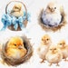 Cute Easter Chicks Watercolour Clipart, 20 Transparent PNG 300 Dpi ...
