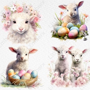 Cute Easter Lambs Watercolour Clipart, 20 Transparent PNG 300 Dpi ...