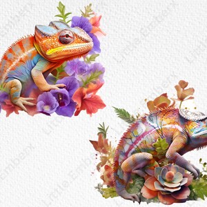 Colourful Chameleons Watercolour Clipart Bundle, 18 Transparent PNG ...