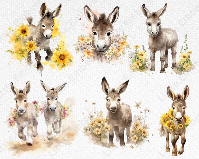 Watercolour Happy Donkeys Clipart Bundle 18 Transparent - Etsy