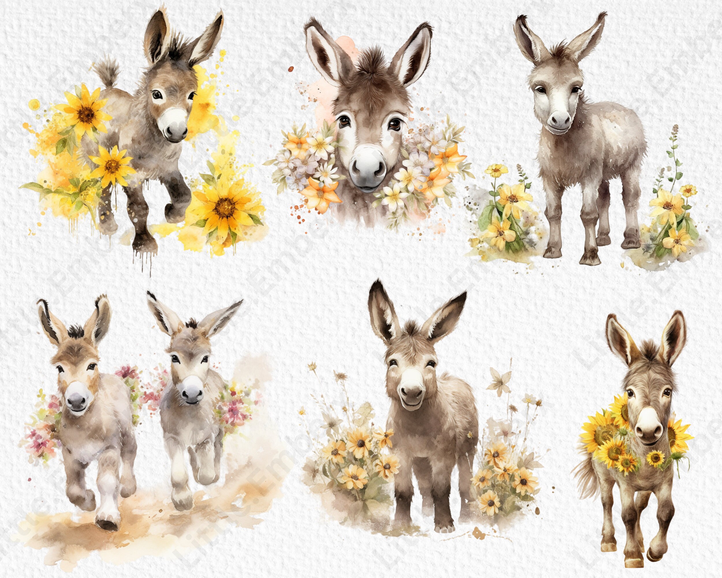 Watercolour Happy Donkeys Clipart Bundle 18 Transparent - Etsy