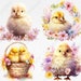 Cute Easter Chicks Watercolour Clipart, 20 Transparent PNG 300 Dpi ...
