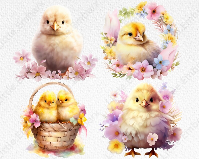Cute Easter Chicks Watercolour Clipart, 20 Transparent PNG 300 Dpi ...