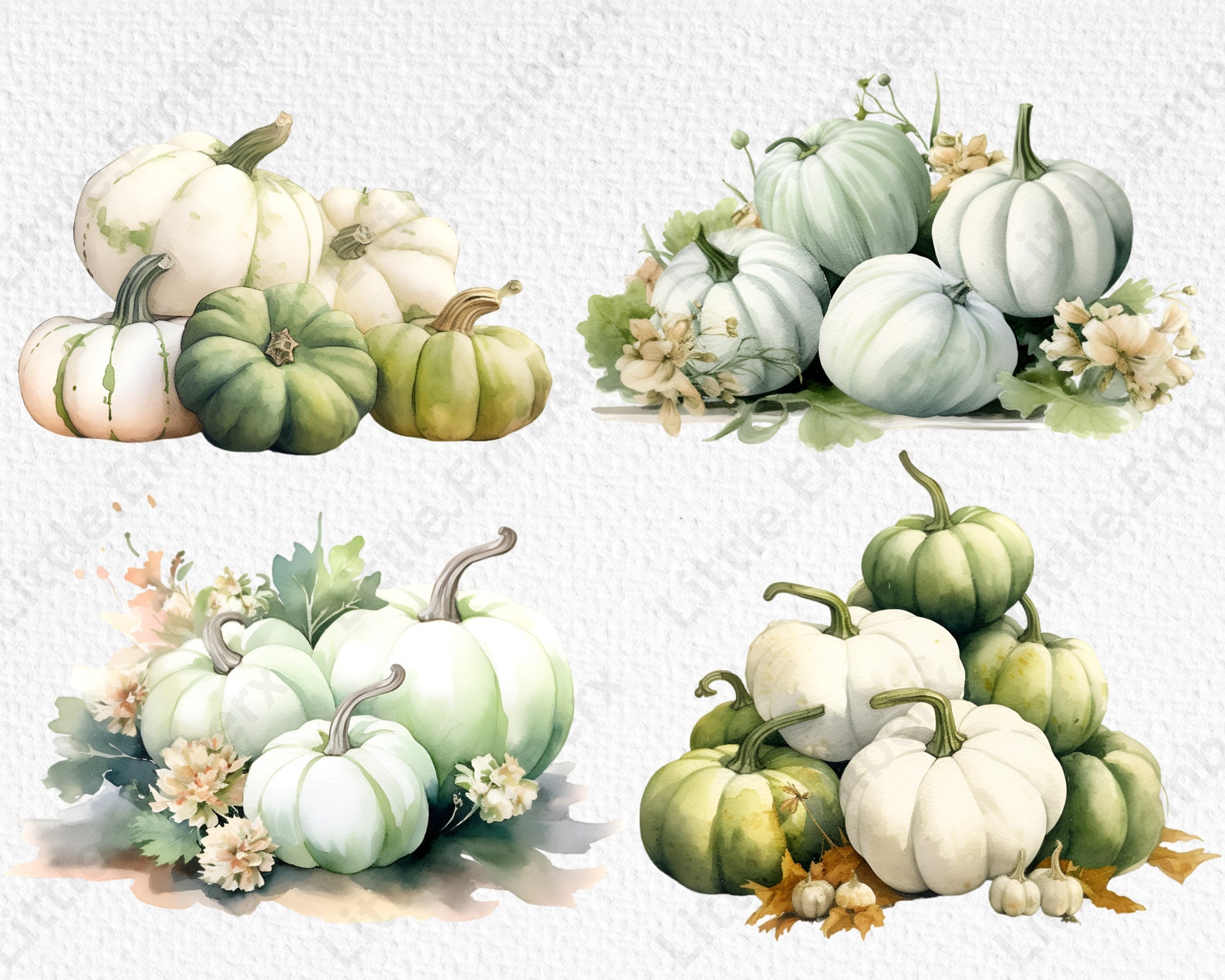 White & Green Pumpkins Clipart Bundle, 18 Transparent PNG 300 Dpi, Fall ...