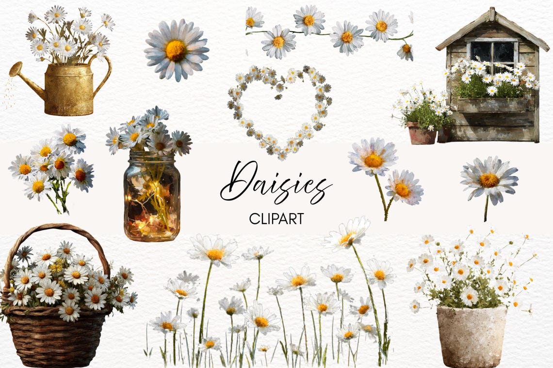Daisies Clipart Bundle, 20 Transparent PNG, Watercolour Daisy Graphics ...