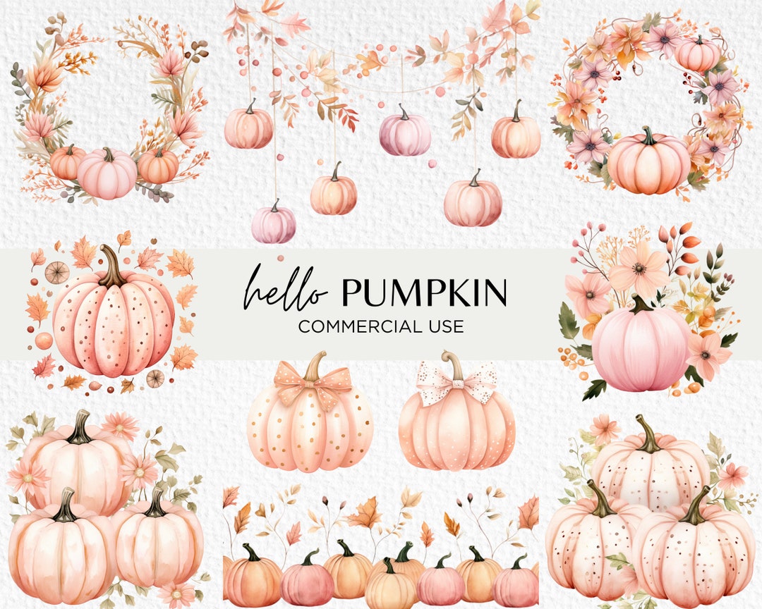 Cute Pink Pumpkins Watercolour Clipart, 20 Transparent PNG 300 Dpi ...