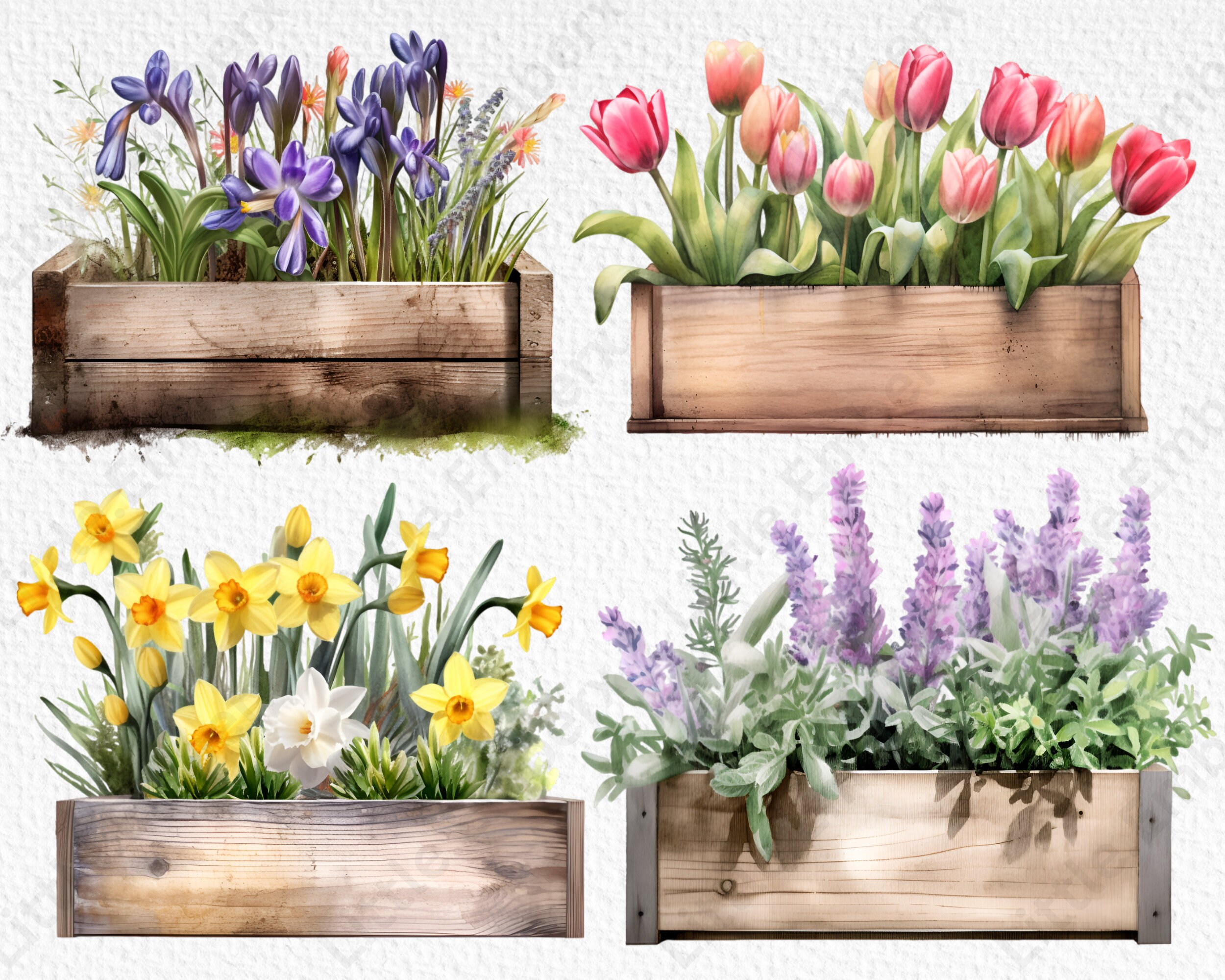 Watercolour Spring Planters Clipart Bundle 18 Transparent PNG - Etsy