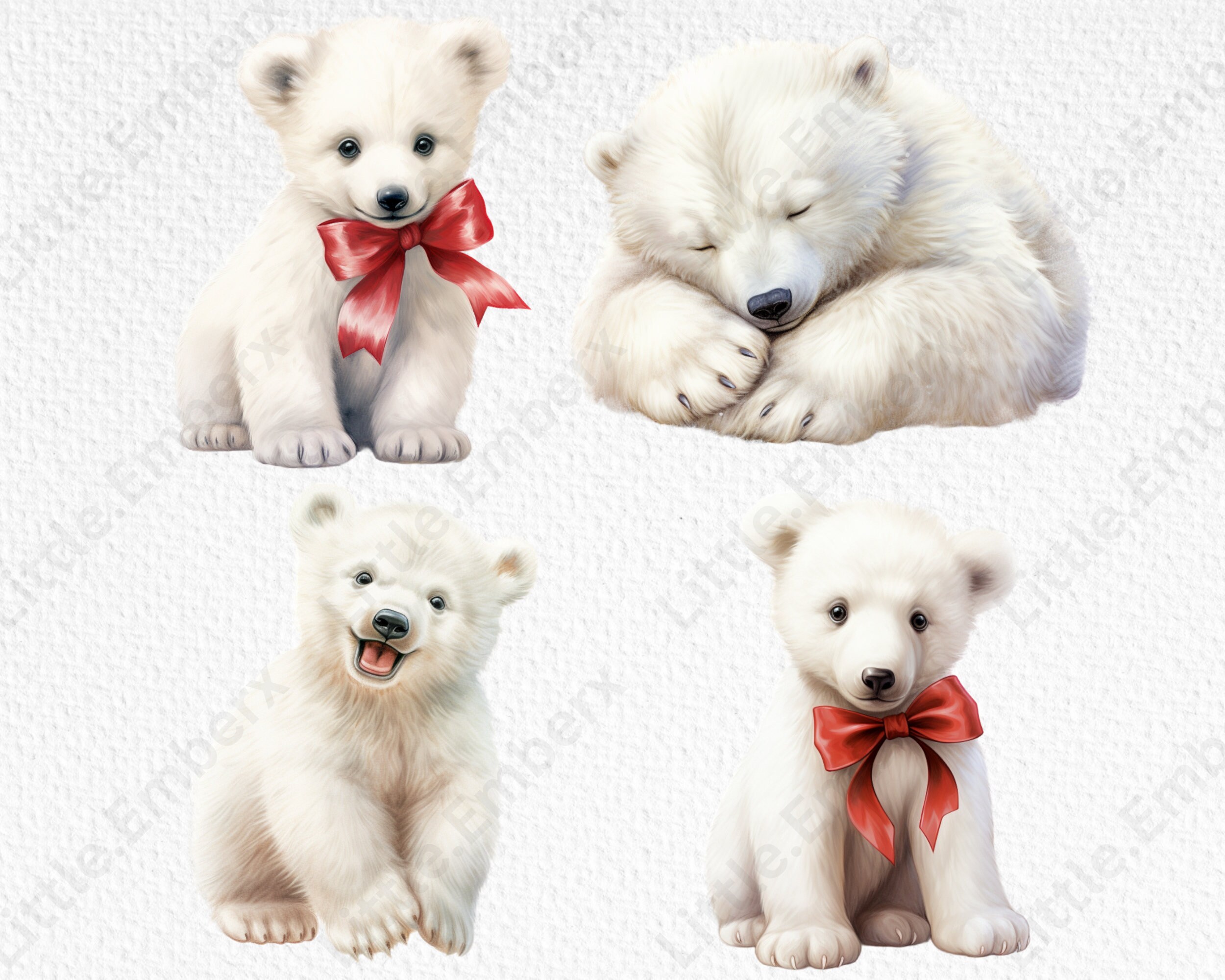 Polar Bears Watercolour Clipart 20 Transparent PNG 300 Dpi - Etsy