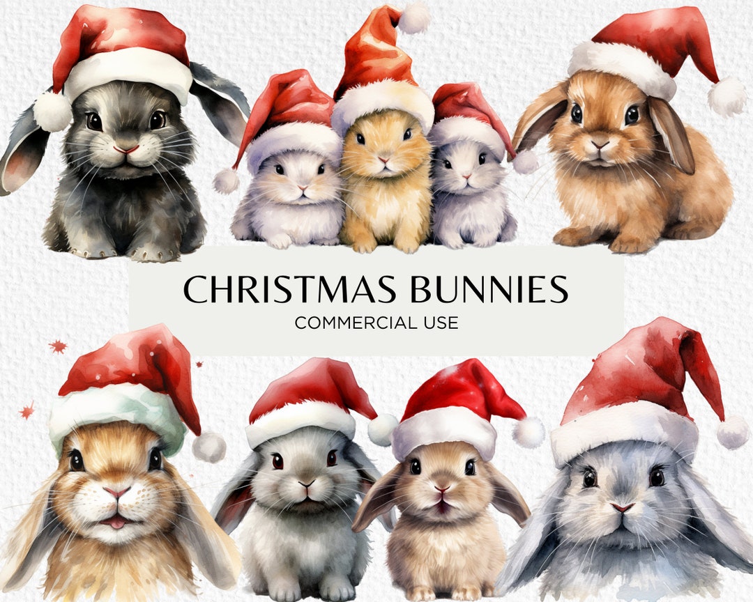 Cute Christmas Bunnies Clipart, 20 Transparent PNG 300dpi, Baby Rabbit ...