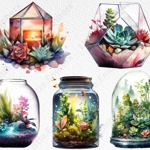 Watercolour Terrariums Clipart Bundle, 20 Transparent PNG 300 Dpi ...