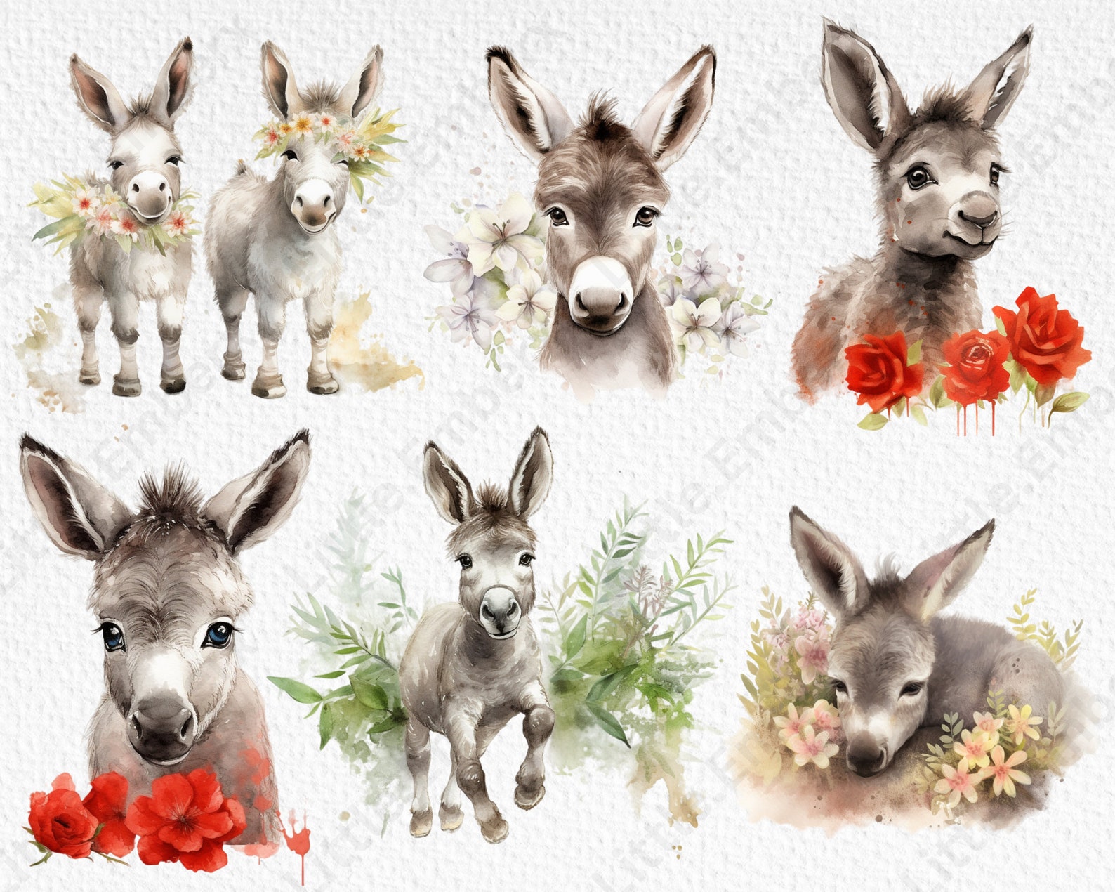 Watercolour Happy Donkeys Clipart Bundle 18 Transparent - Etsy