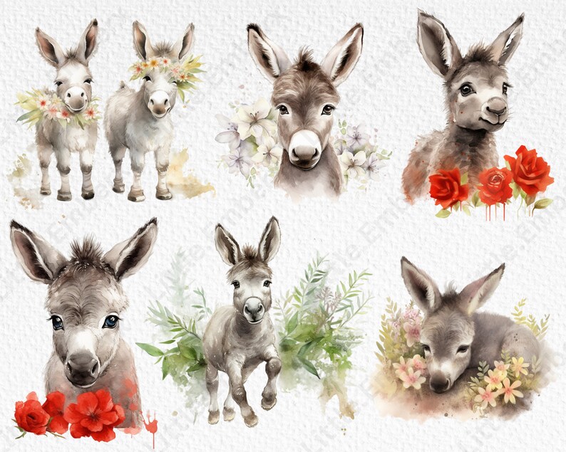Watercolour Happy Donkeys Clipart Bundle 18 Transparent - Etsy