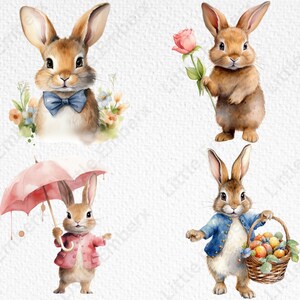 Easter Bunny Watercolour Clipart, 20 Transparent PNG 300 Dpi, Spring ...