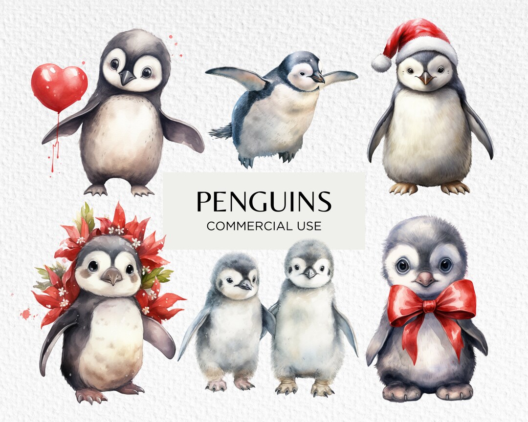 Penguin Watercolour Clipart, 20 Transparent PNG 300 Dpi, Cute Baby ...