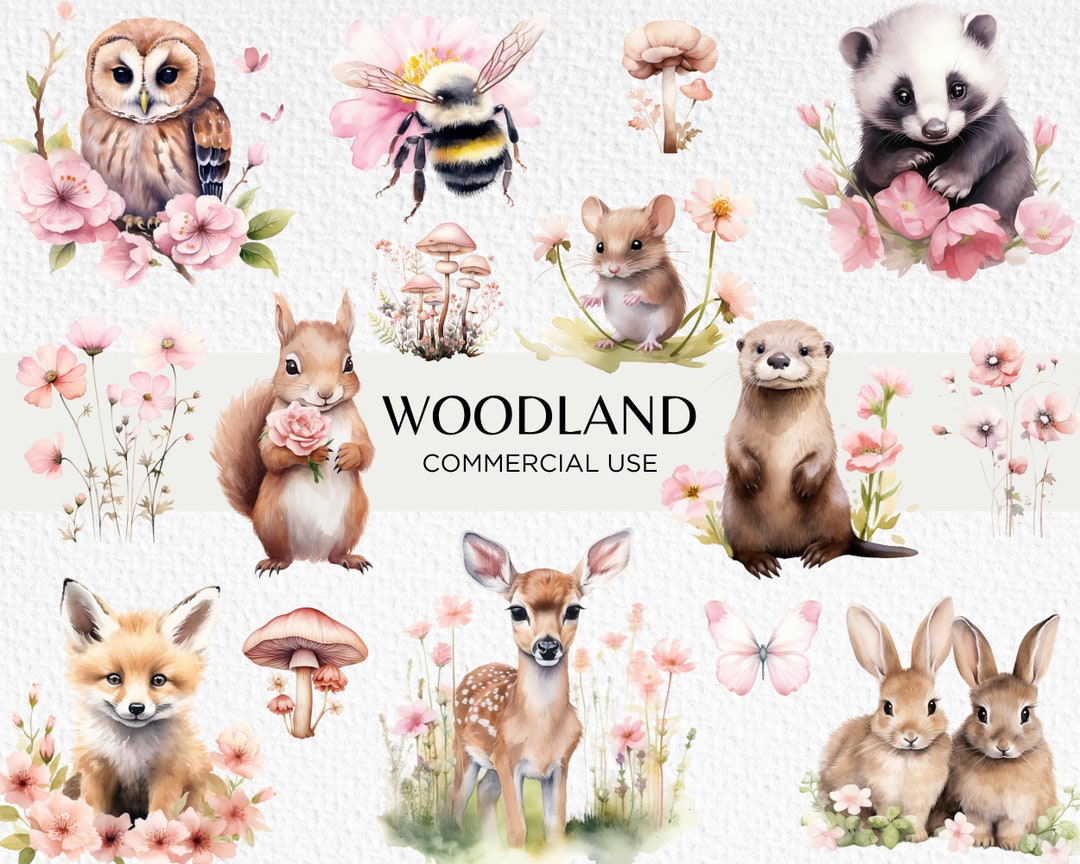 Pink Woodland Animals Watercolour Clipart, 20 Transparent PNG 300 Dpi ...