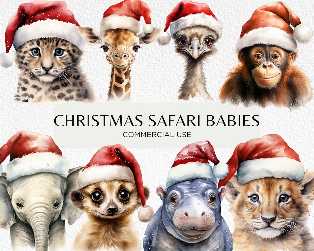 Christmas Safari Babies Clipart, 20 Transparent PNG 300 Dpi, Cute ...