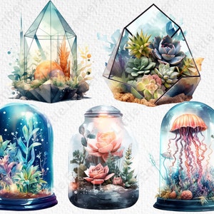 Watercolour Terrariums Clipart Bundle, 20 Transparent PNG 300 Dpi ...