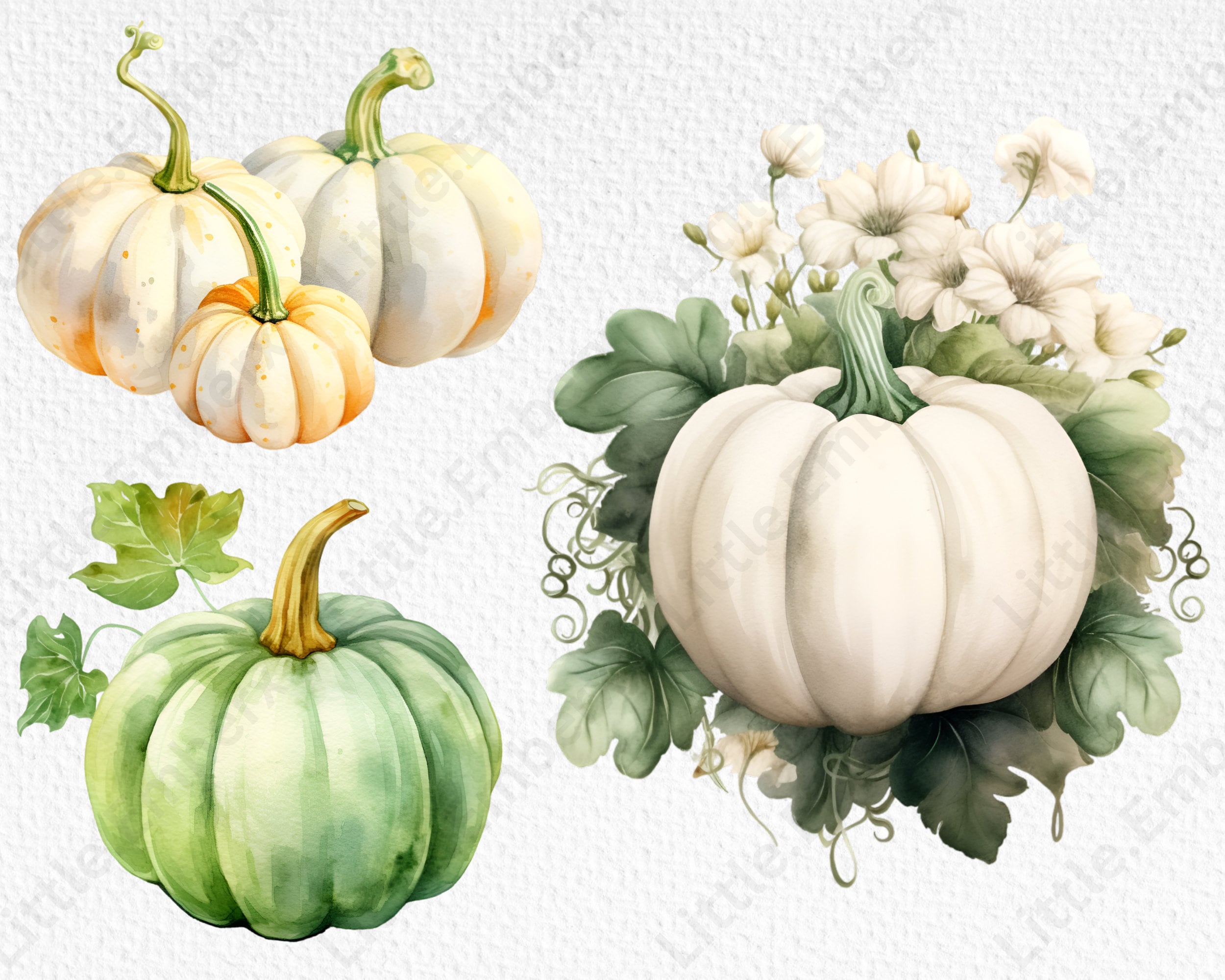 White & Green Pumpkins Clipart Bundle, 18 Transparent PNG 300 Dpi, Fall ...