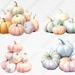 Pastel Pumpkins Watercolour Clipart Bundle, 16 Transparent PNG 300 Dpi ...