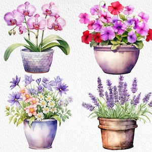 Cute Flower Pots Watercolour Clipart, 20 Transparent PNG 300 Dpi ...