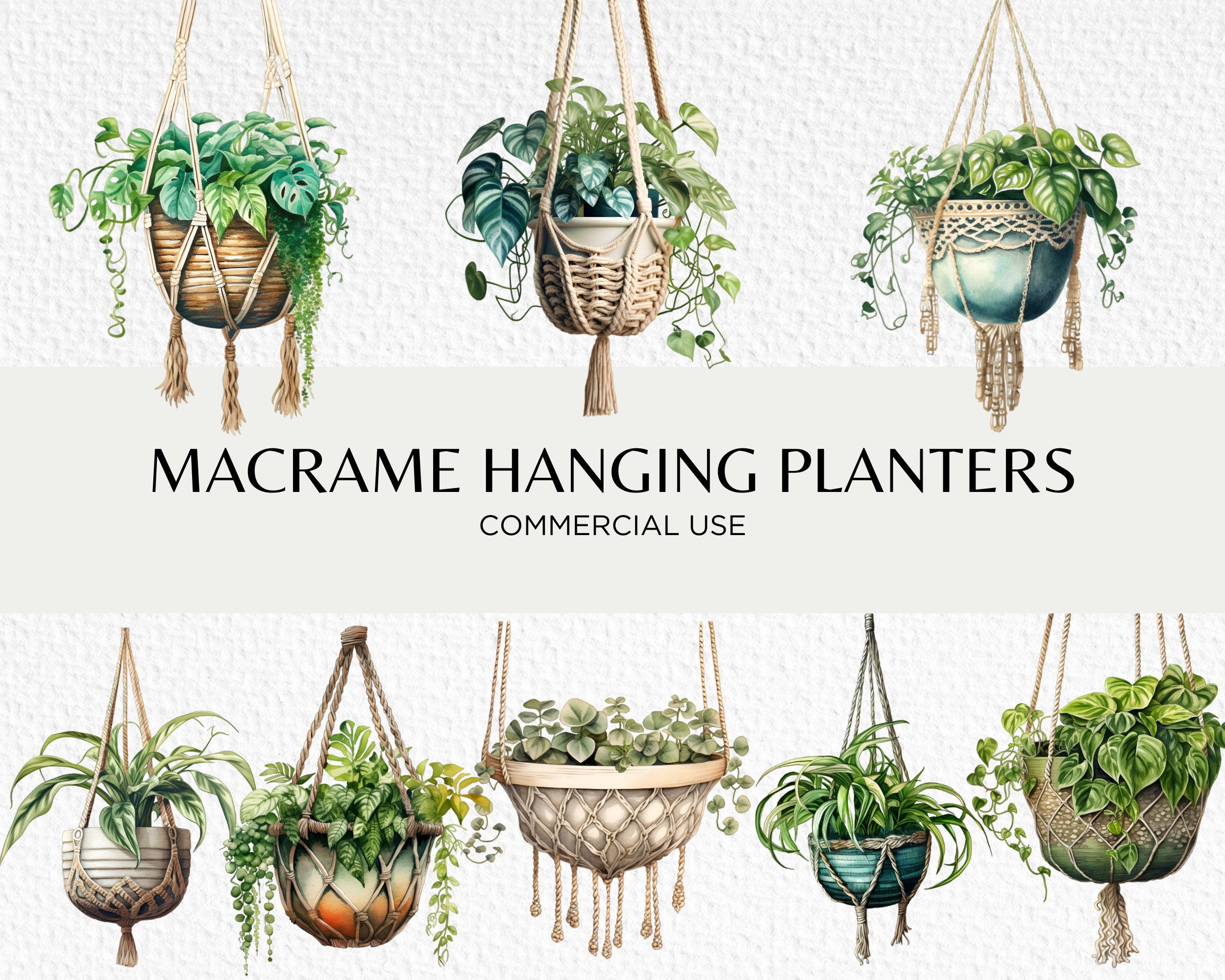 Macrame Hanging Plants Watercolour Clipart Bundle, 16 Transparent PNG ...