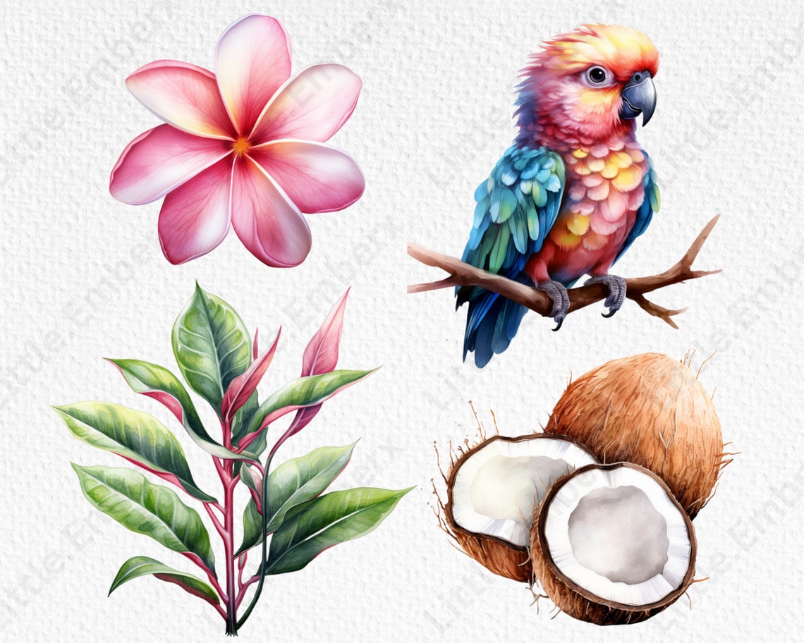 Tropical Watercolour Clipart, 20 Transparent PNG 300 Dpi, Island ...