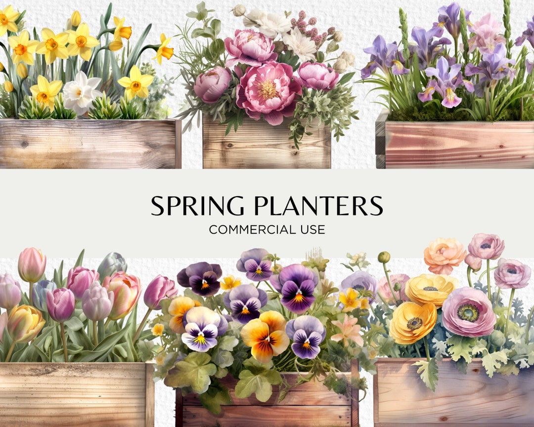 Watercolour Spring Planters Clipart Bundle, 18 Transparent PNG Images ...