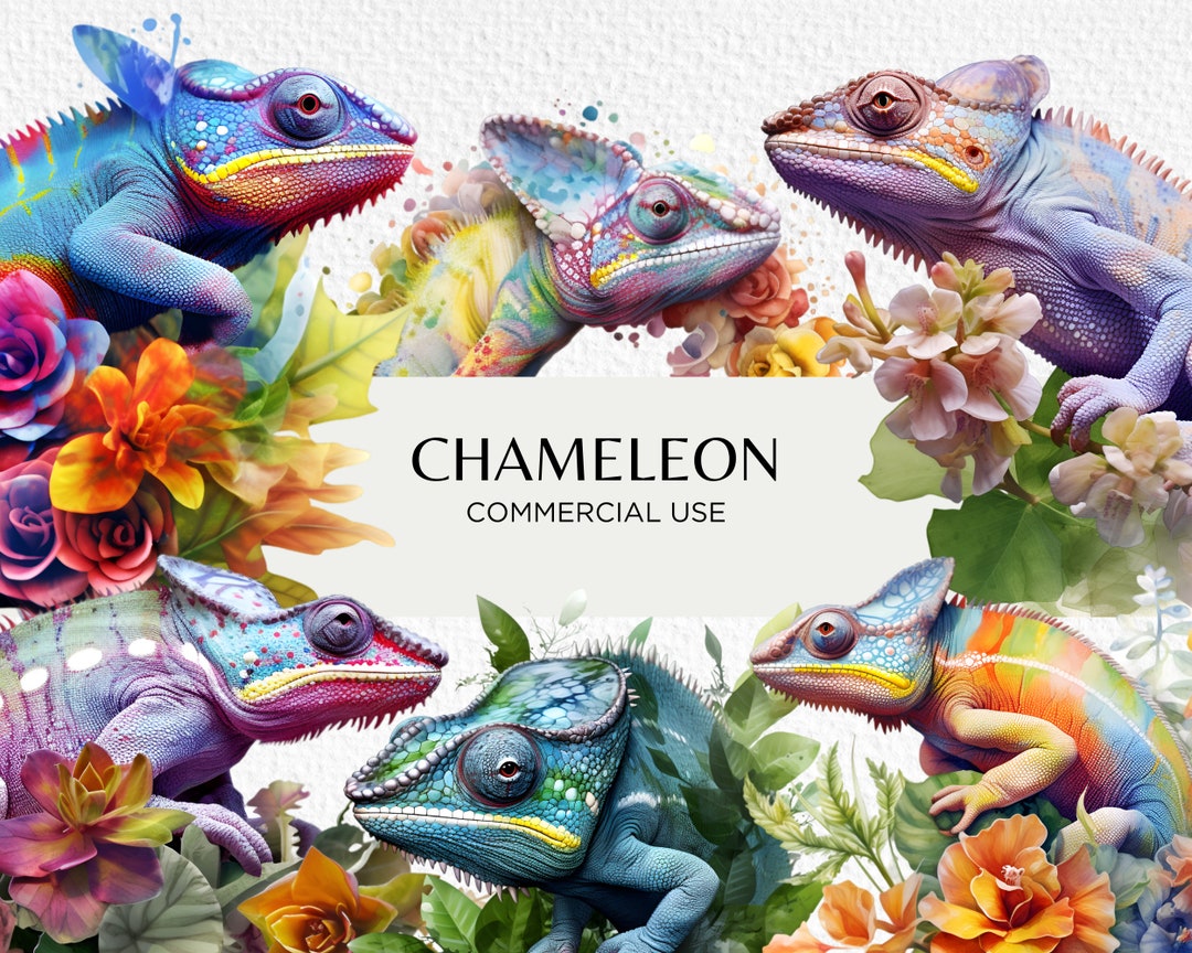 Colourful Chameleons Watercolour Clipart Bundle, 18 Transparent PNG ...