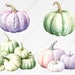 Pastel Pumpkins Watercolour Clipart Bundle, 16 Transparent PNG 300 Dpi ...