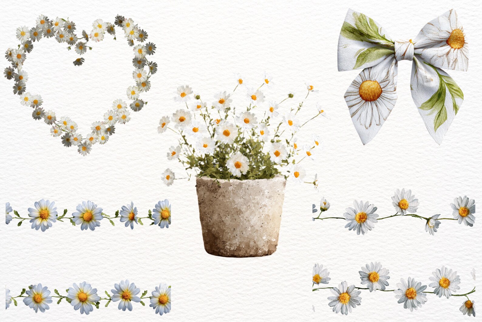 Daisies Clipart Bundle, 20 Transparent PNG, Watercolour Daisy Graphics ...