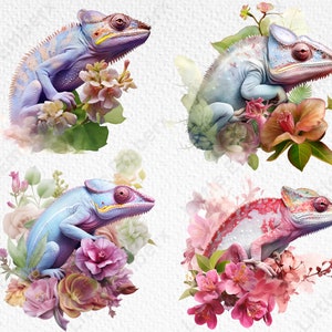 Colourful Chameleons Watercolour Clipart Bundle, 18 Transparent PNG ...