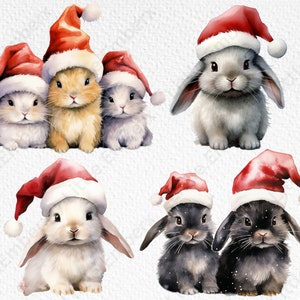 Cute Christmas Bunnies Clipart, 20 Transparent PNG 300dpi, Baby Rabbit ...