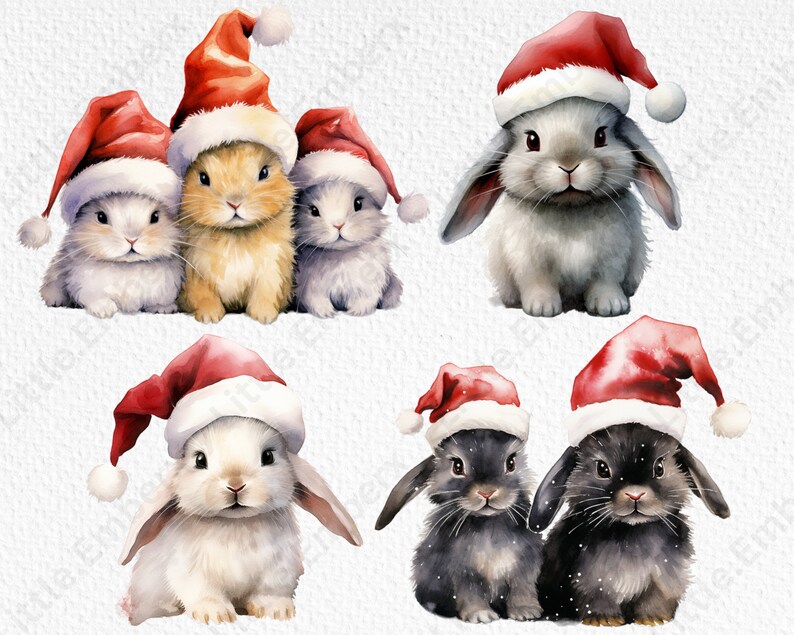 Cute Christmas Bunnies Clipart, 20 Transparent PNG 300dpi, Baby Rabbit ...