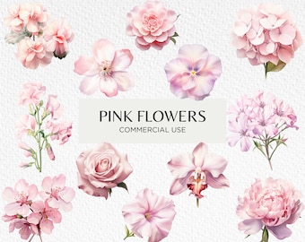 Peonies Watercolour Clipart Bundle, 20 Transparent PNG 300 Dpi, Blush ...