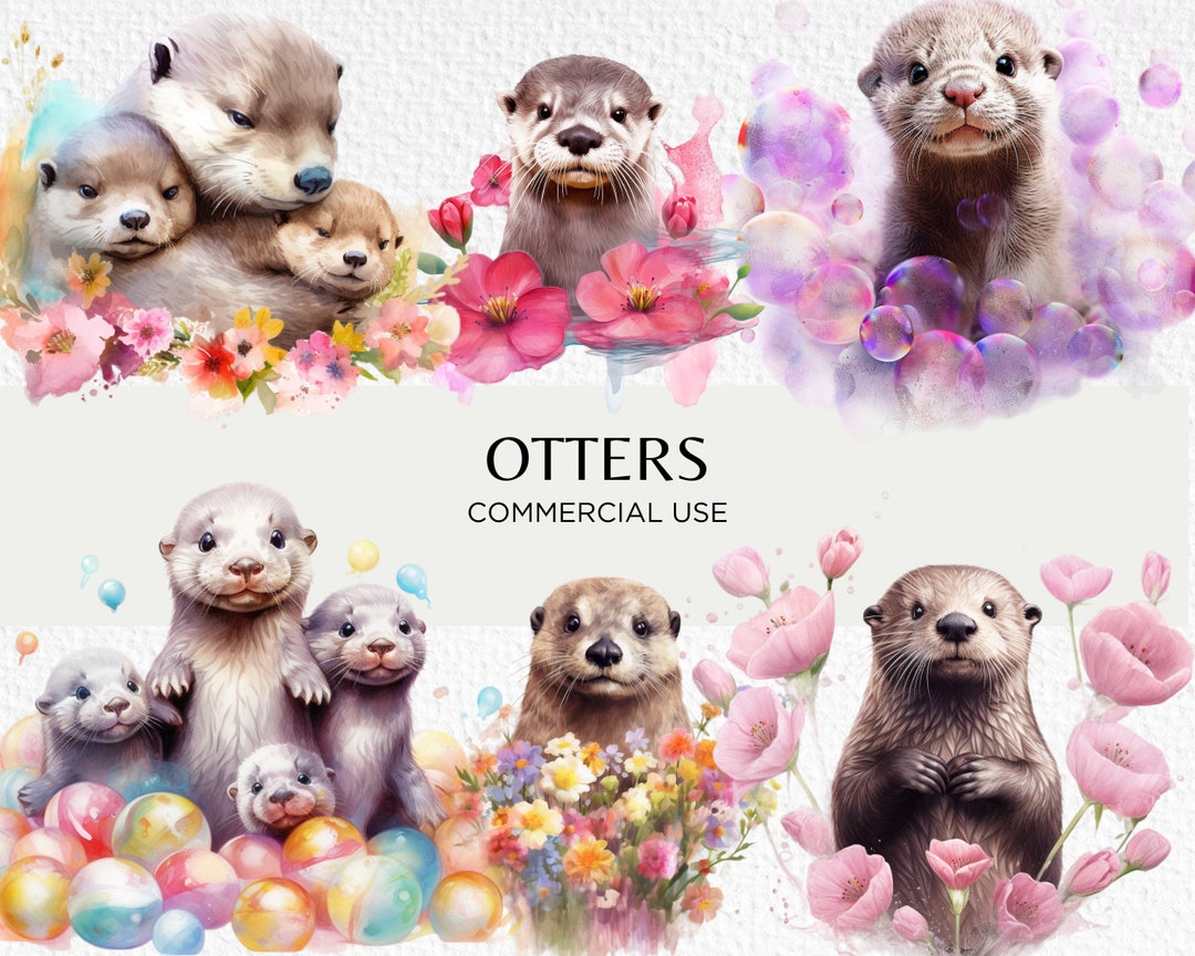Cute Otters Watercolour Clipart Bundle, 16 Transparent PNG 300 Dpi ...